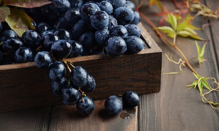 Health Benefits of Grapes | LAVYON